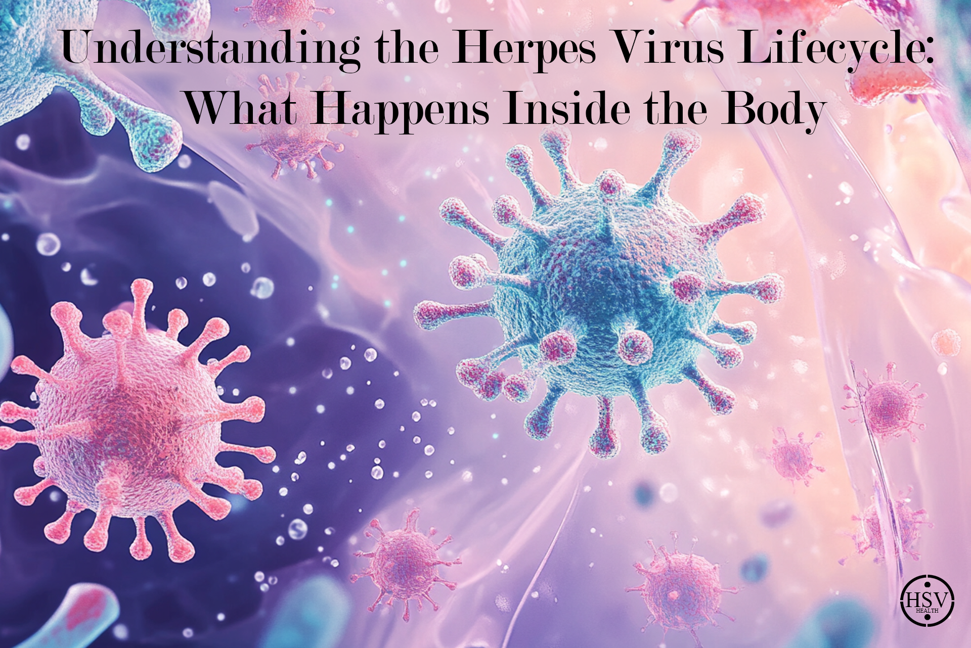 Understanding The Herpes Lifecycle | HSV Health